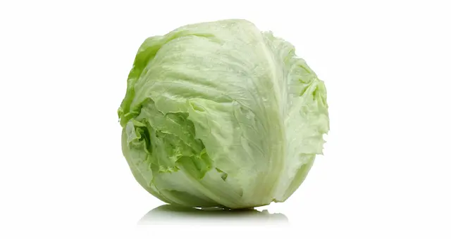 Iceberg Lettuce – Chambers